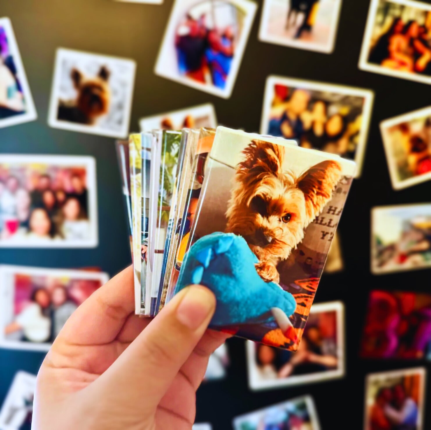 2”x3” Rectangle Photo Magnets – Tieu Magnetic